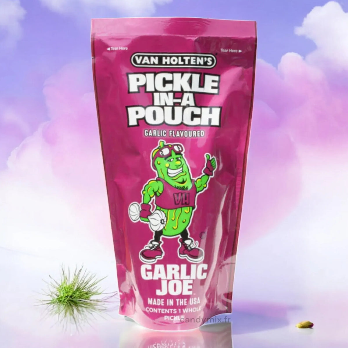 Van Holten's Pickle Garlic Joe (EU) – CandyMix